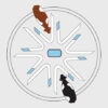 Rotary Parlor – Ki